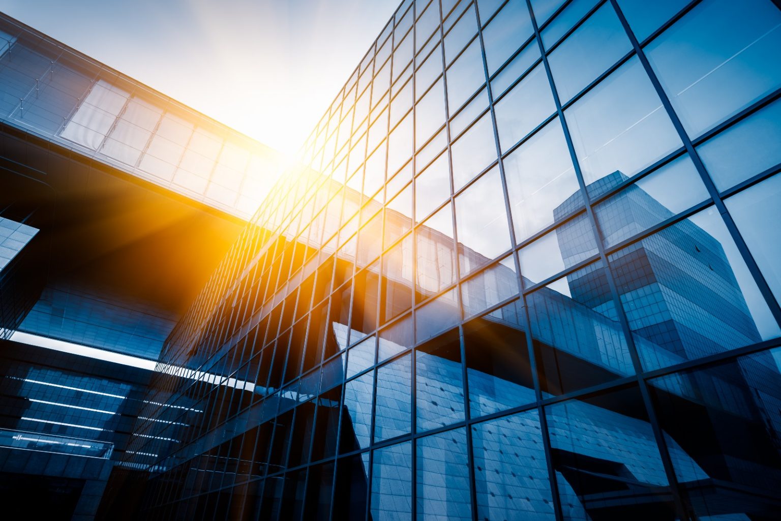 The Functions and Roles of Glass Curtain Walls – JMI Innovation